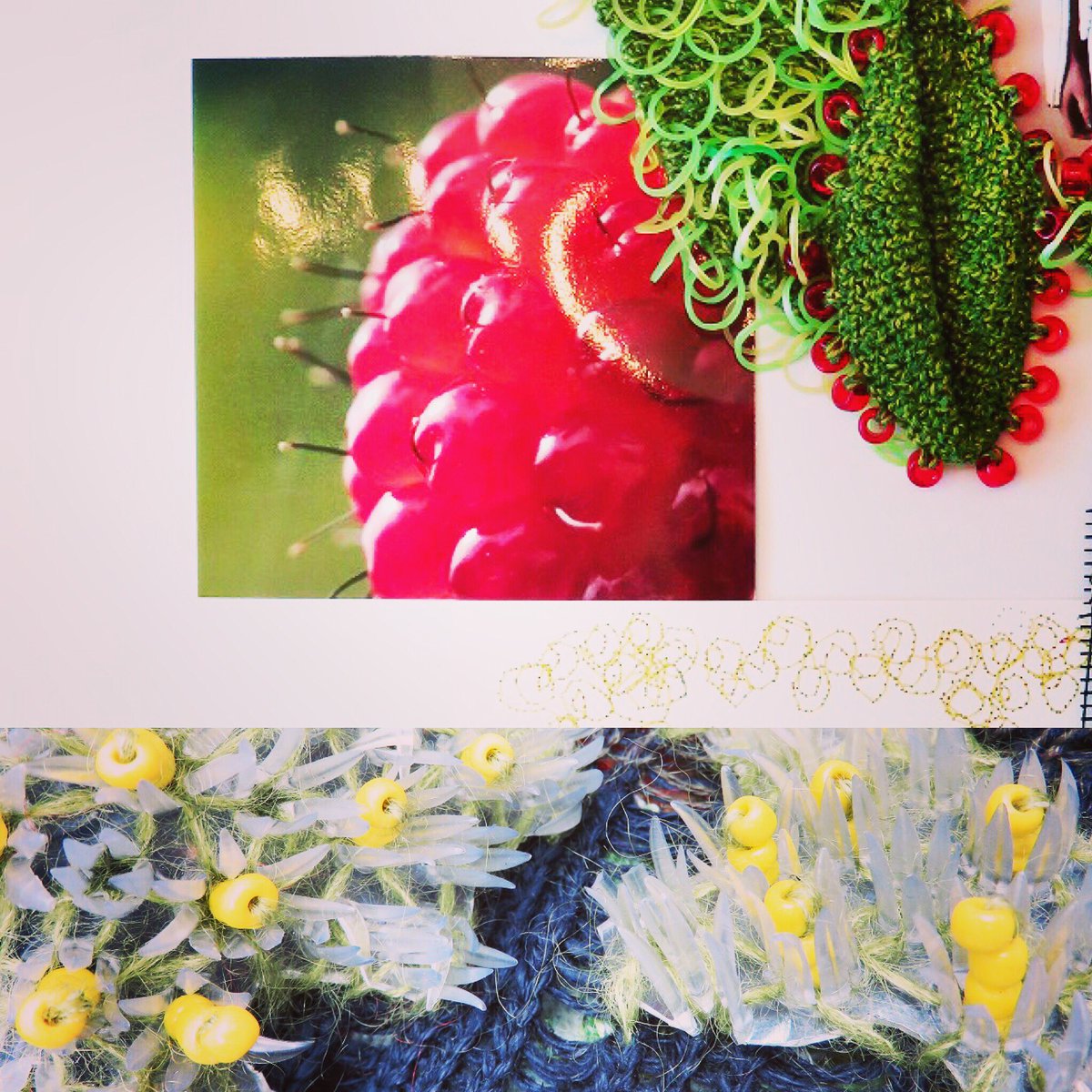 +Tsujio knit lab+ (@Tsujio_knit_lab) | Twitter