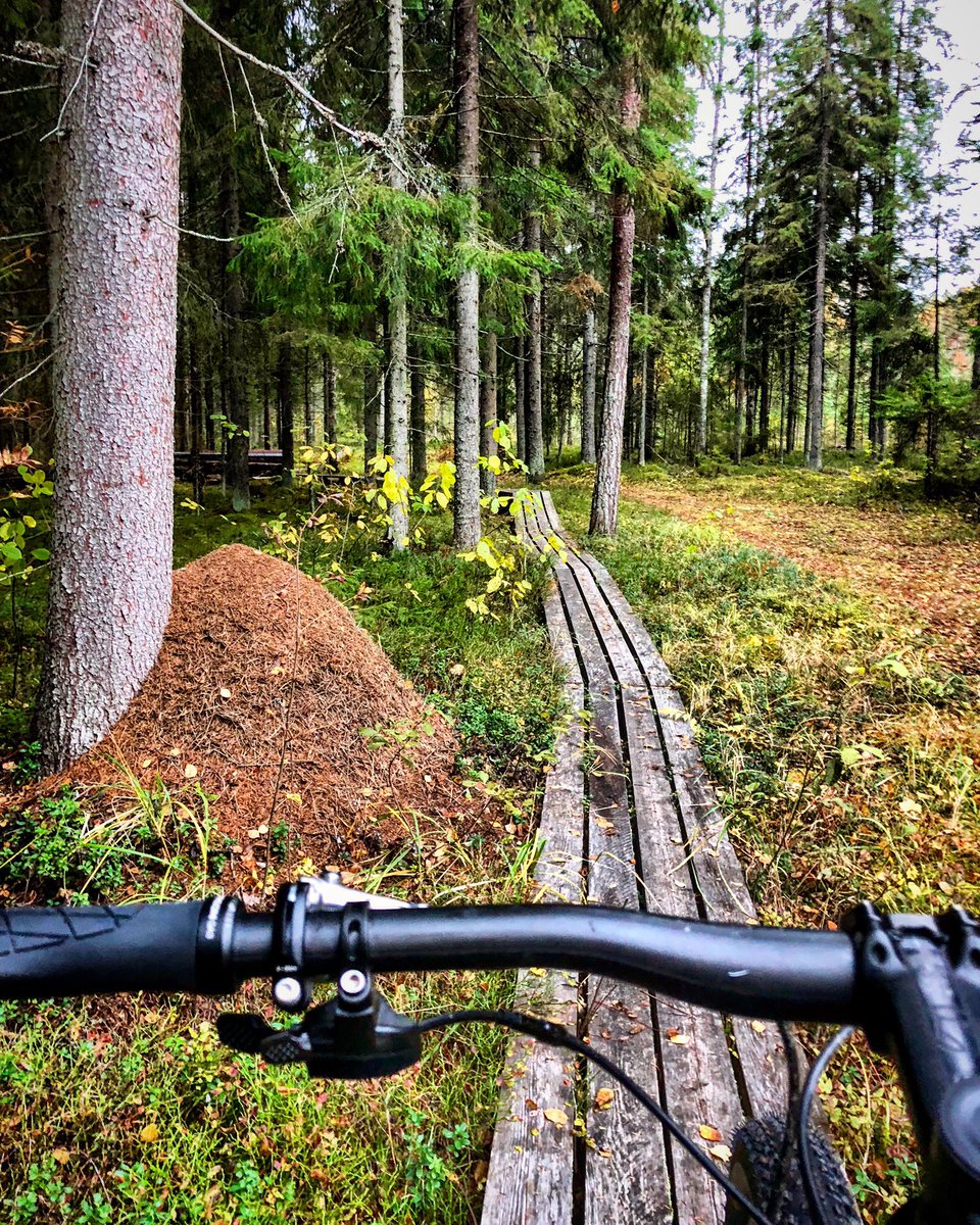 148 best Vb77 images on Pholder | Valtteri Bottas, Formula1 and ...