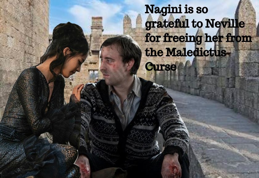 Nagini Neville