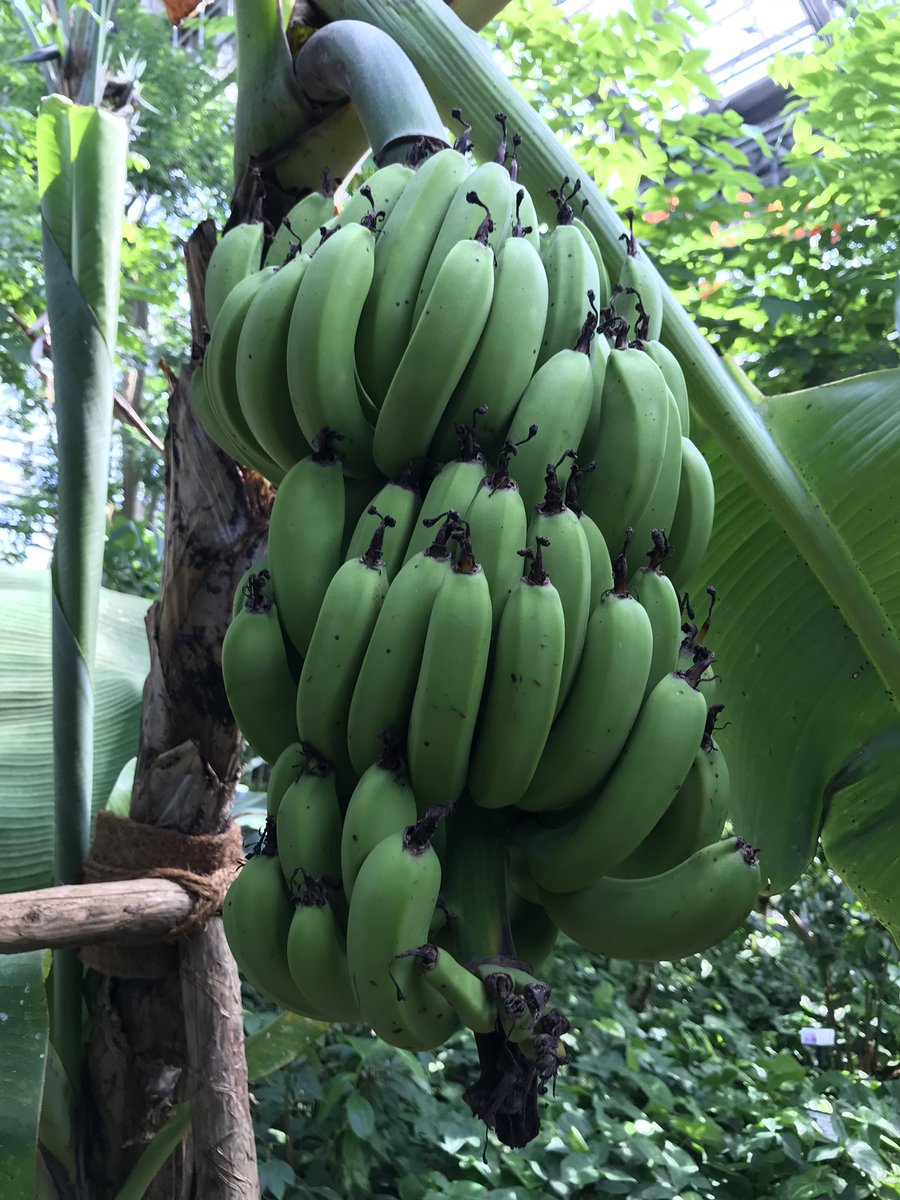 まみもこ (@mami_moco) | Twitter