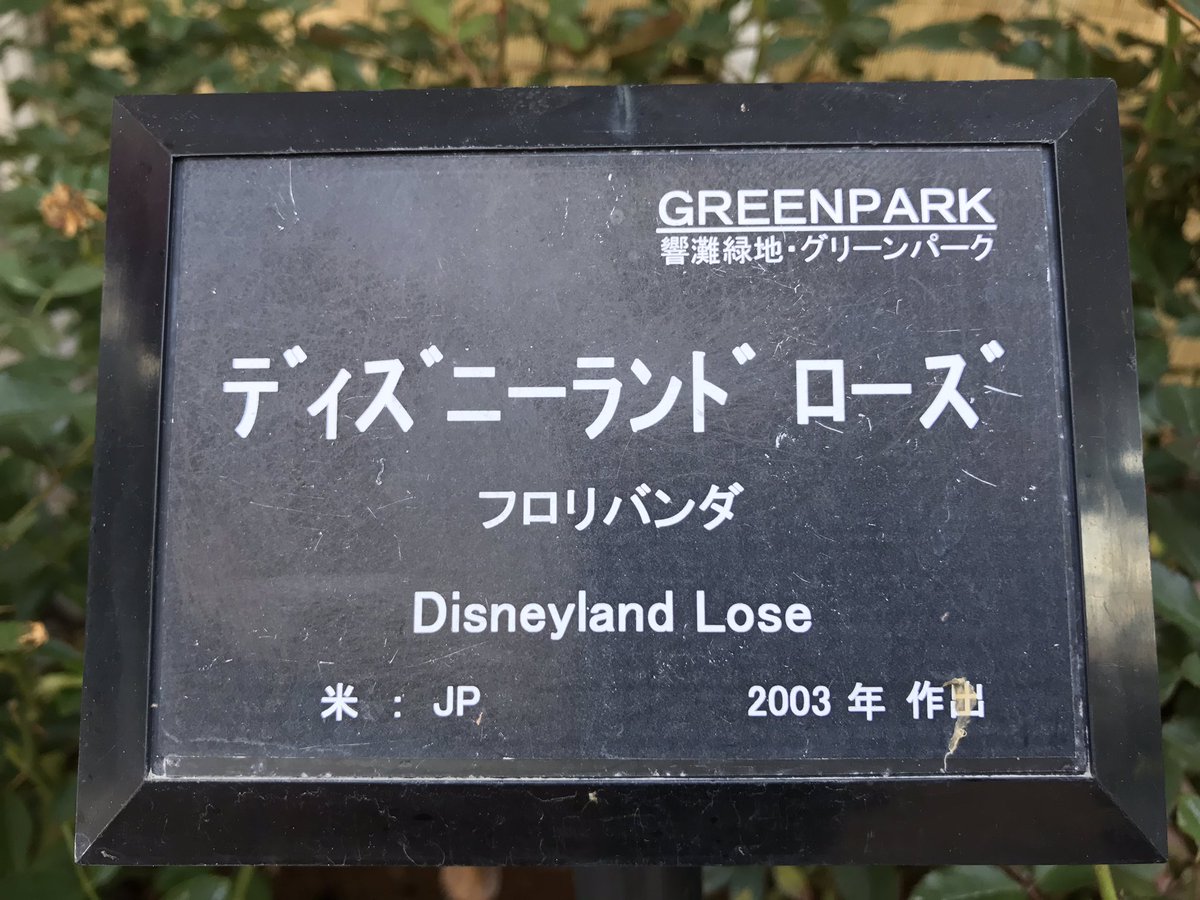 まみもこ (@mami_moco) | Twitter