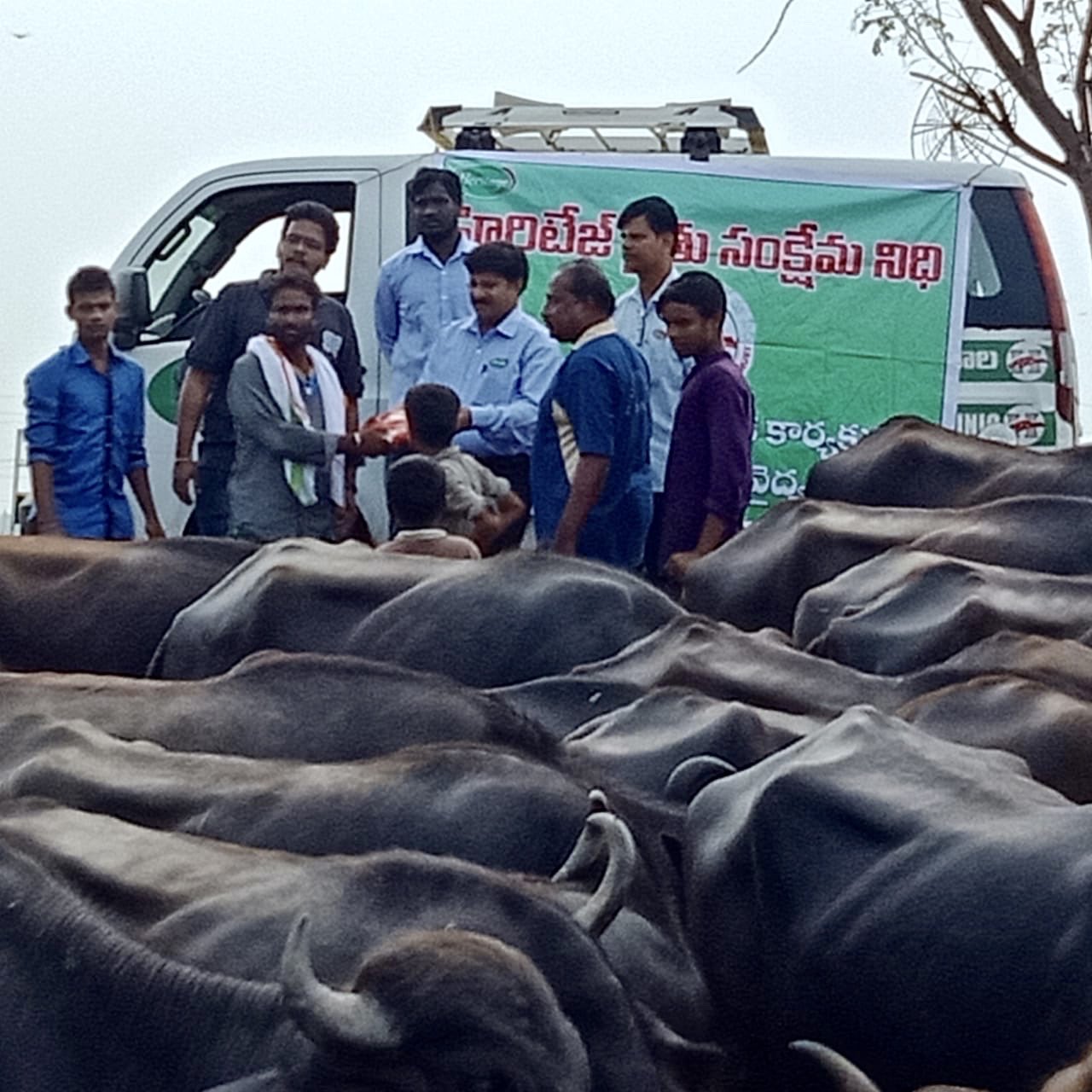 Brahmani Nara (@brahmaninara) / Twitter