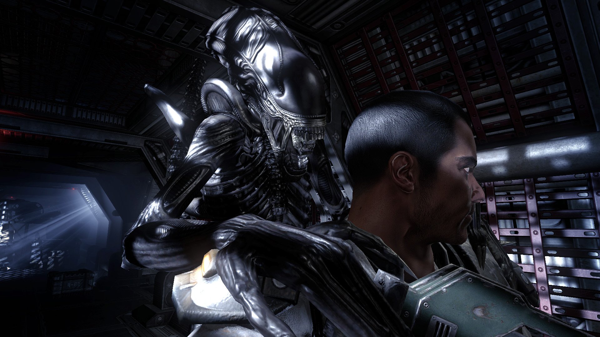 Aliens Vs Predator 2010 Wallpaper HD Wallpaper: Predators 2010