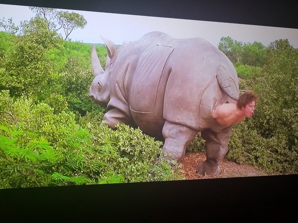 Ace Ventura Rhino Scene