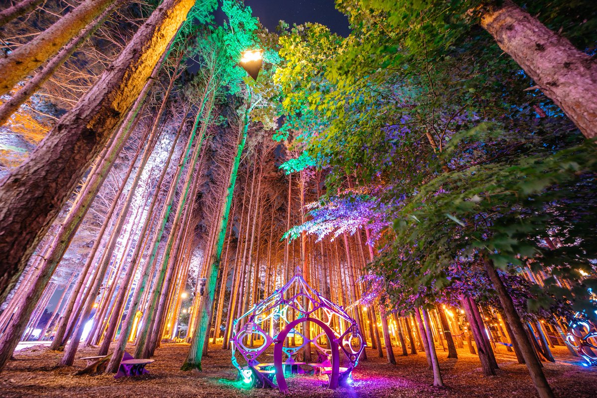 5075 best Electricforest images on Pholder | Electric Forest, Electric ...