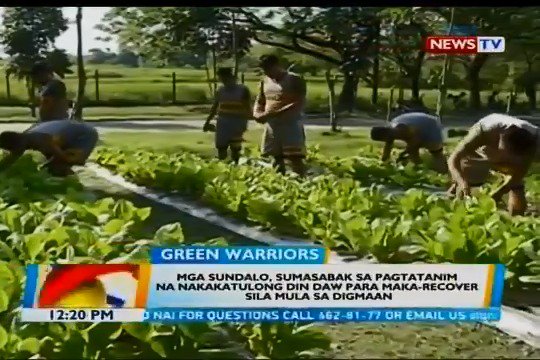 Pandilig Sa Paghahalaman