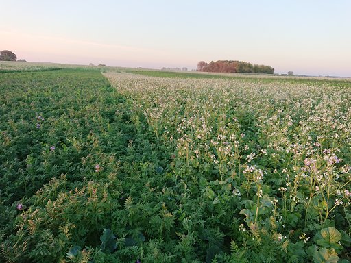 Agrovi Planteavl (@AgroviPlanteavl) | Twitter