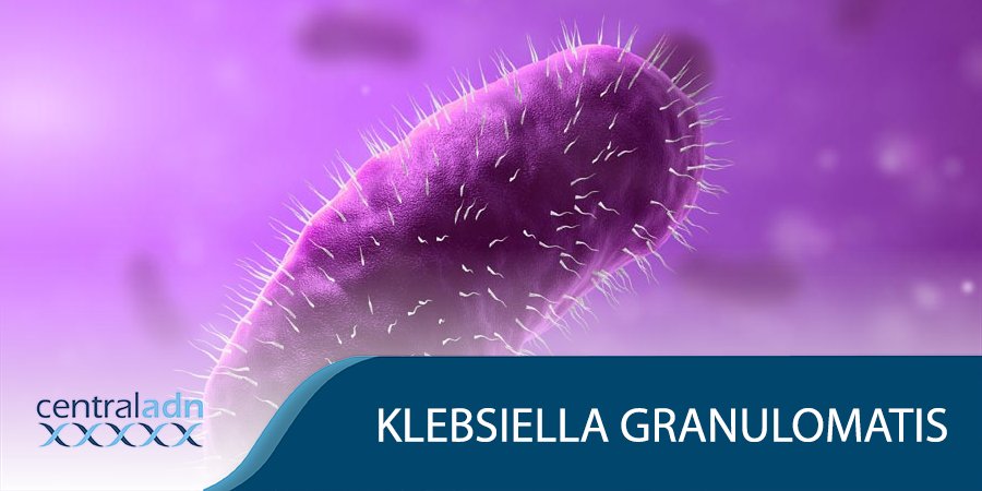 Klebsiella Granulomatis