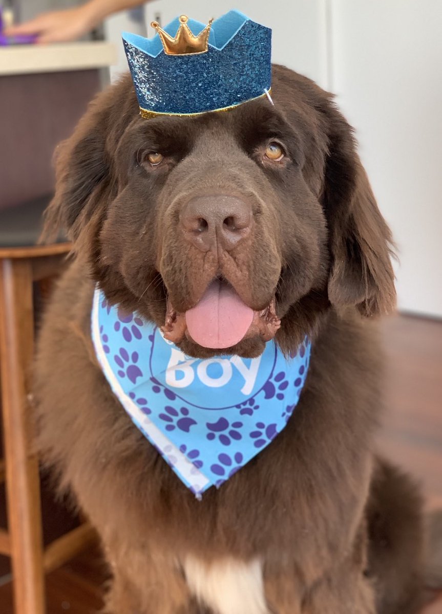 9 best u/realdoctormike images on Pholder | Happy 1st Birthday to my # ...