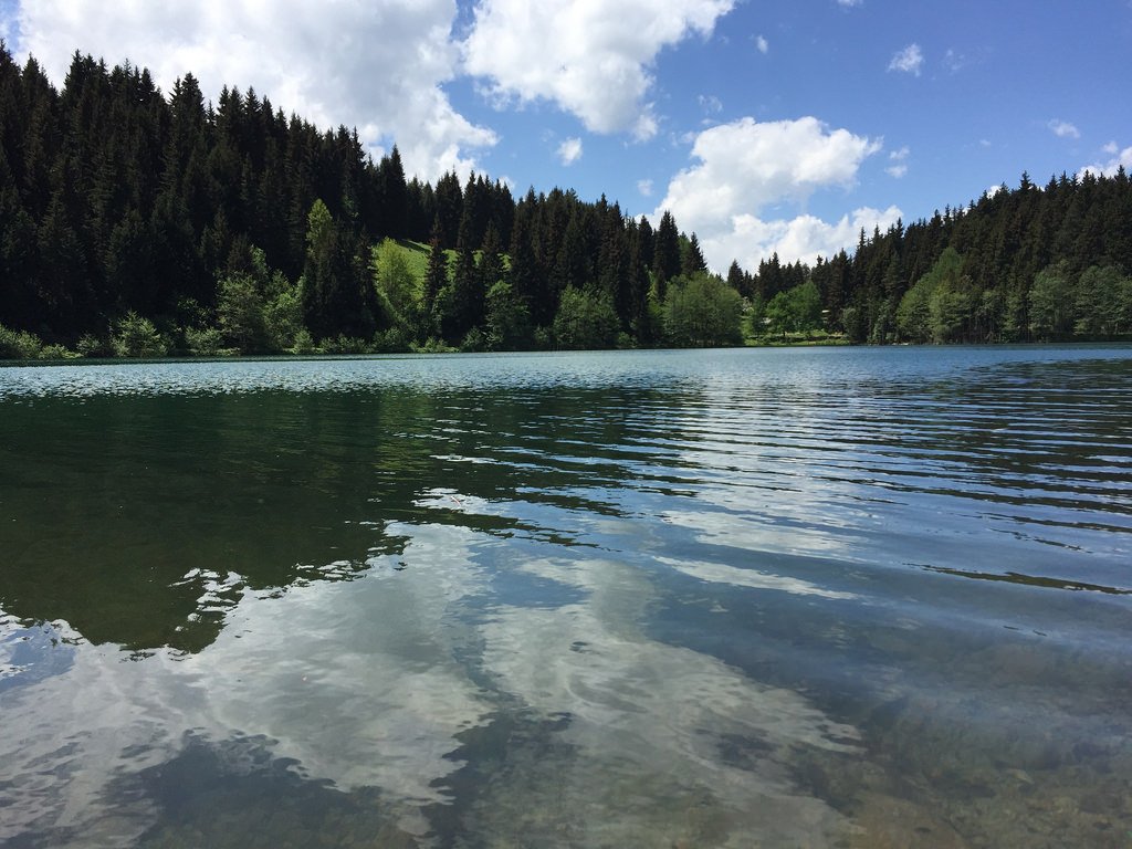 Thread by @VeraCausa9: "The English word 'tantalize' derives from ...