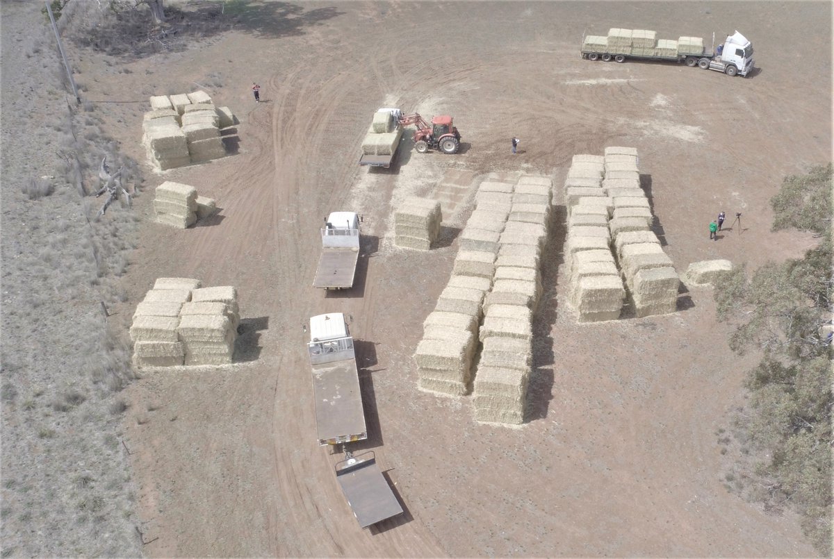 Essential Energy - Home