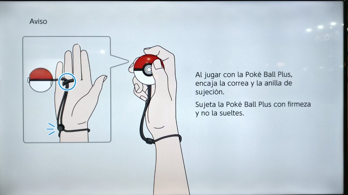Here Are The Safety Instructions For The Poke Ball Plus – NintendoSoup