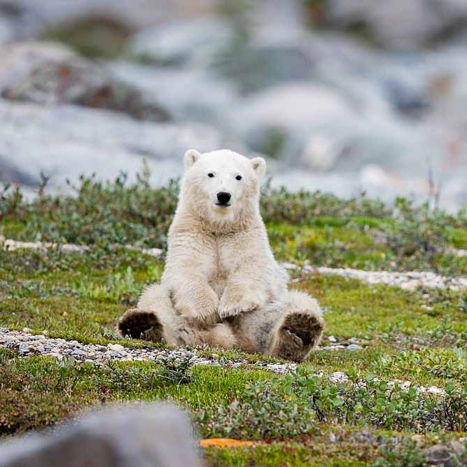 272 best Goedemorgen images on Pholder | Dutch Gone Wild, Nederland ...