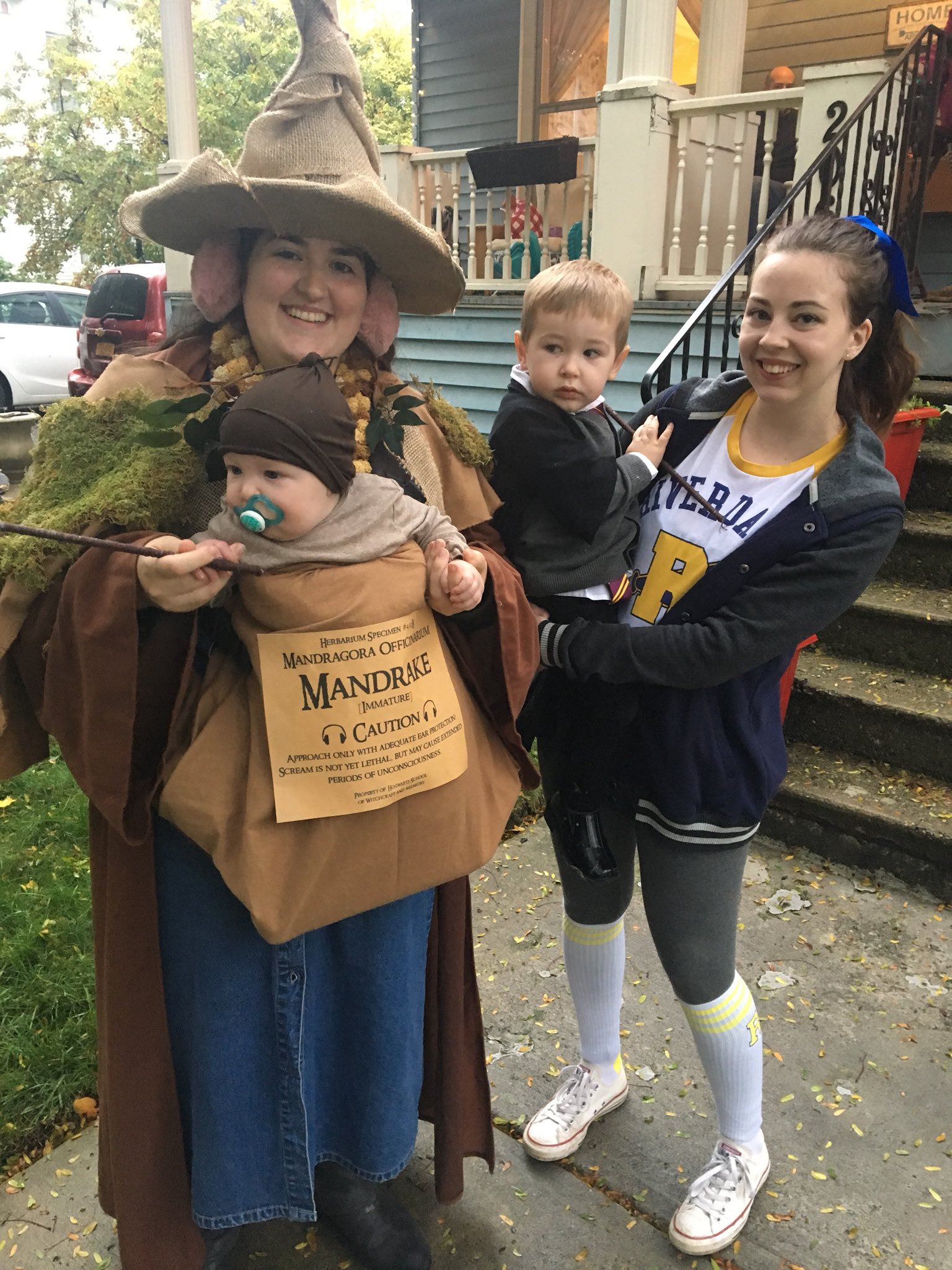 Professor Sprout Mandrake