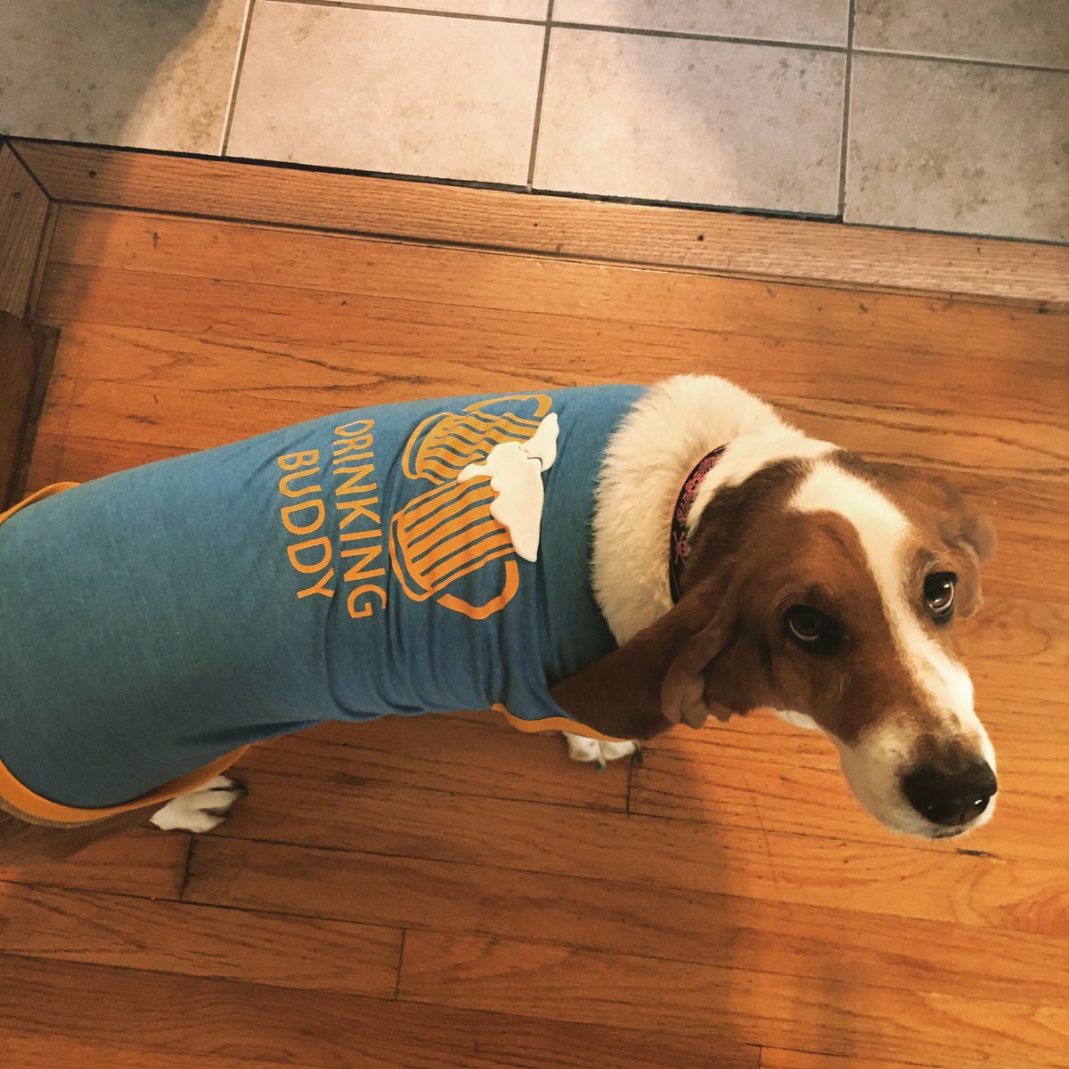 Jaime Fields (@JaimeFields15) | Twitter