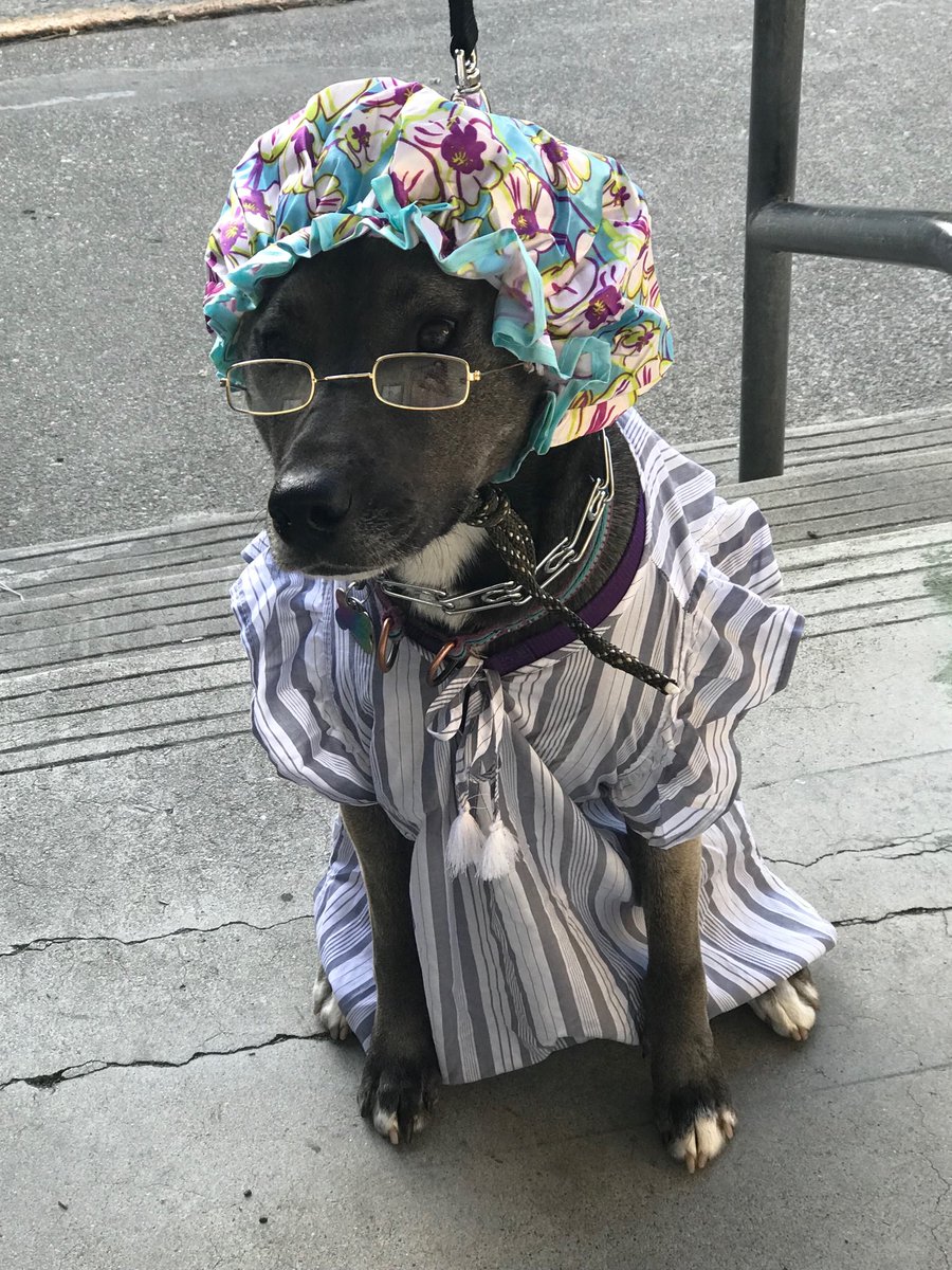 Grandma Dog Costume