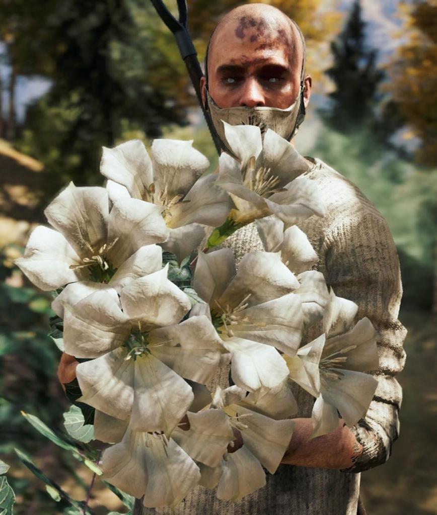 353 best Hope County images on Pholder | Farcry, Far Cry5 Hope County ...