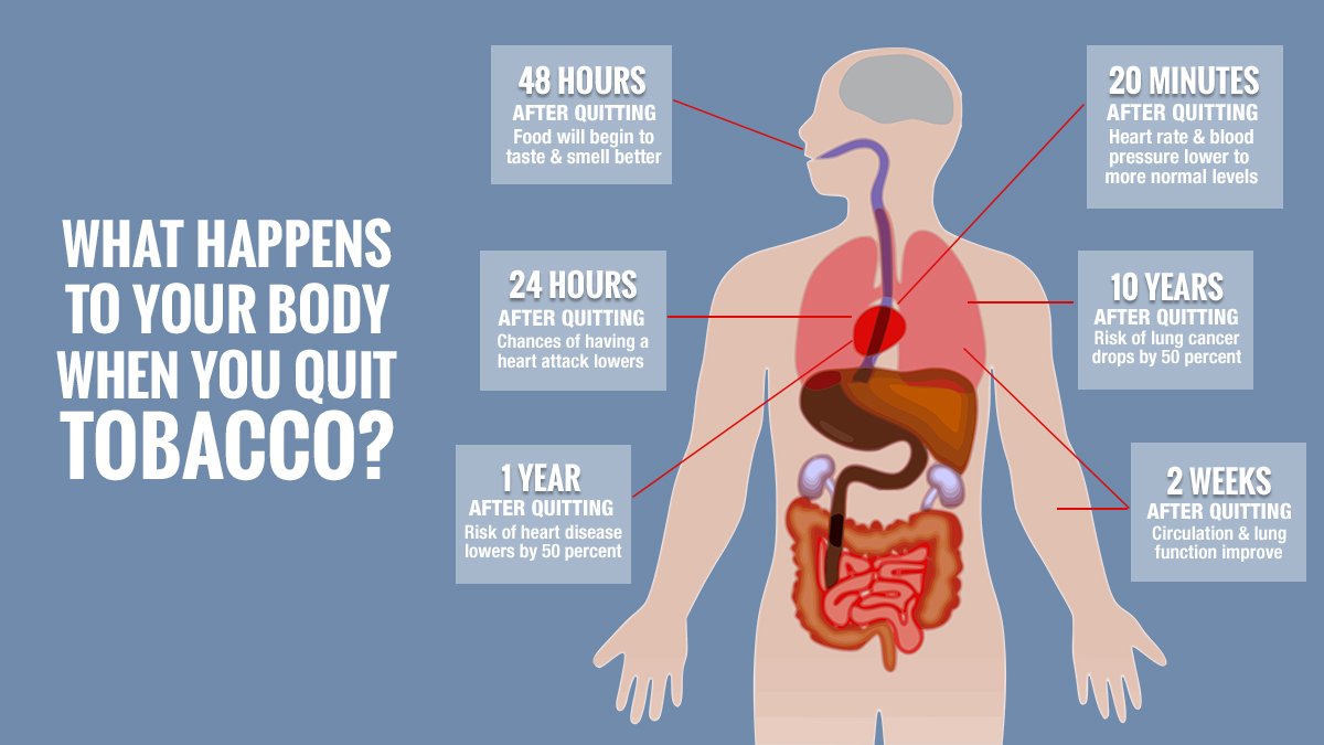 Tobacco And Your Body