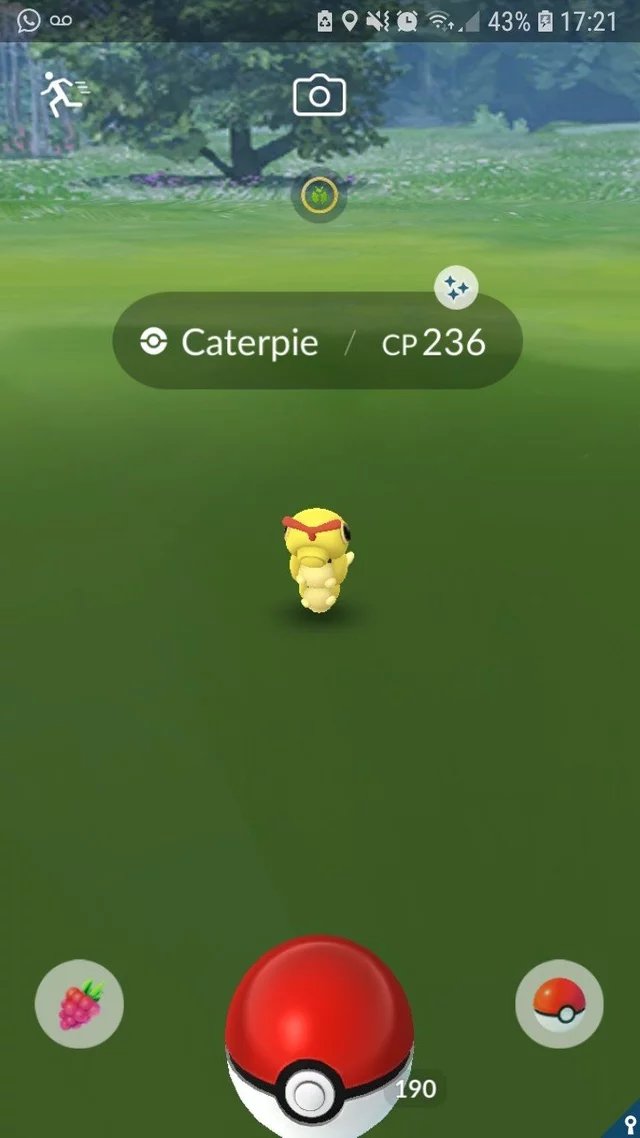 Shiny Caterpie