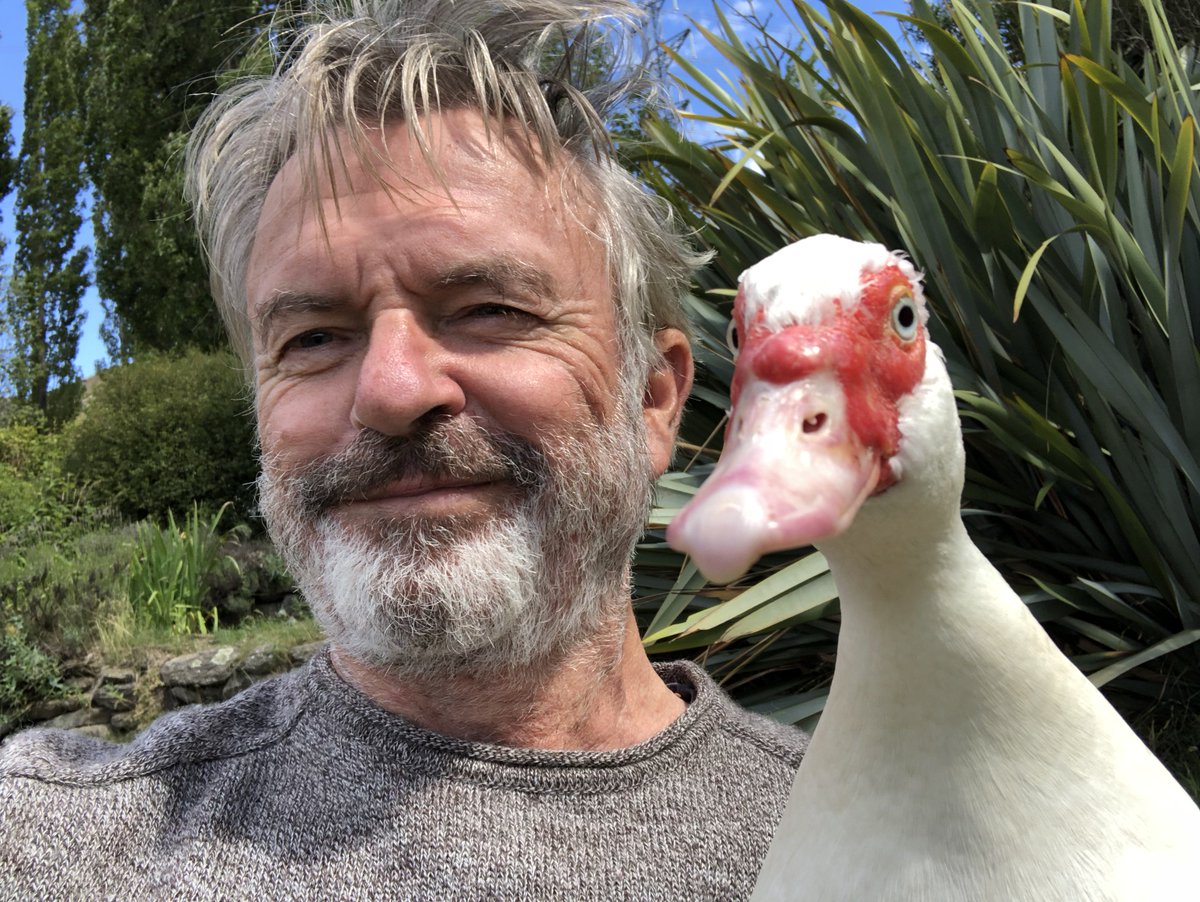 35 best Twitter @twopaddocks images on Pholder | I'd like to nominate ...