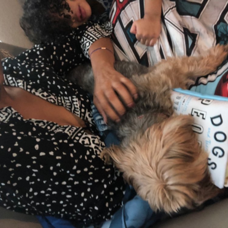 Chemi Collins (@MsCCollins) | Twitter