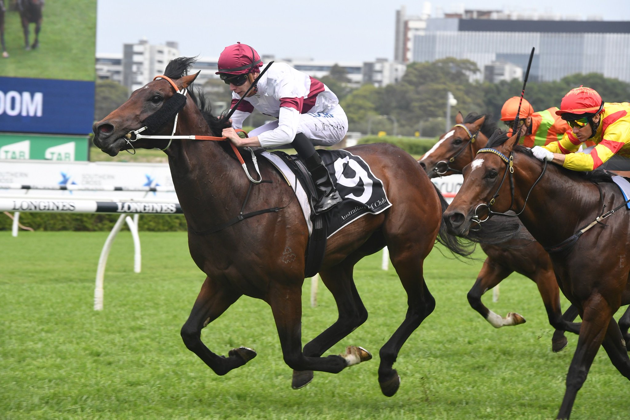 Racing NSW on Twitter: Racing NSW on Twitter:
