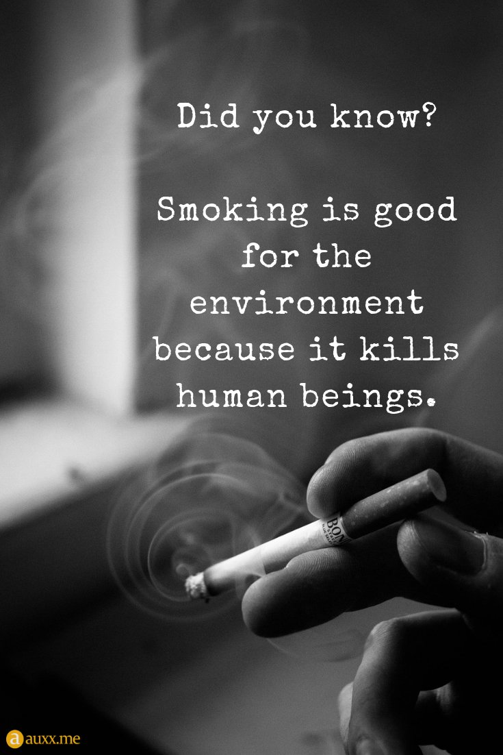 Smoking Is Good For You