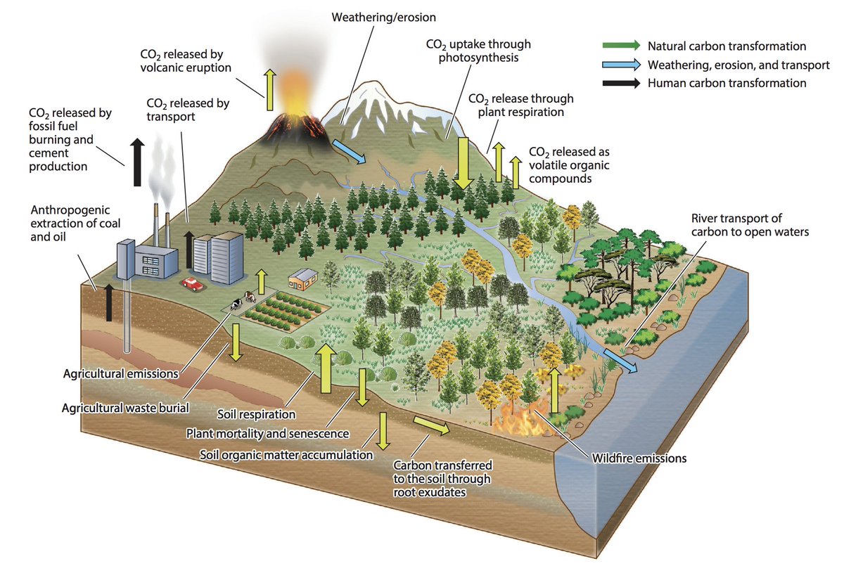 Songchao CHEN 陈颂超 (@SongchaoCHEN) | Twitter
