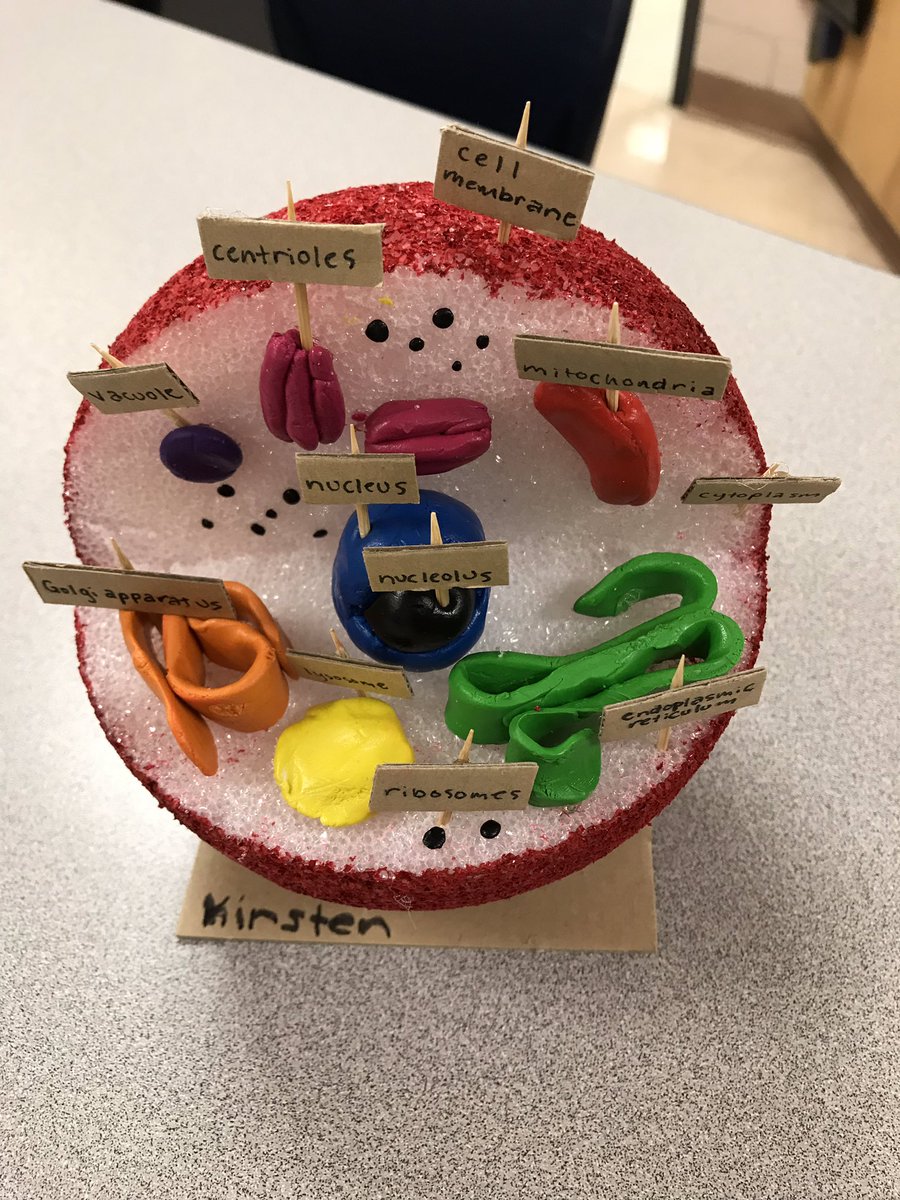 3d Cell Project Examples 3D Cell Projects | Technically Speaking With