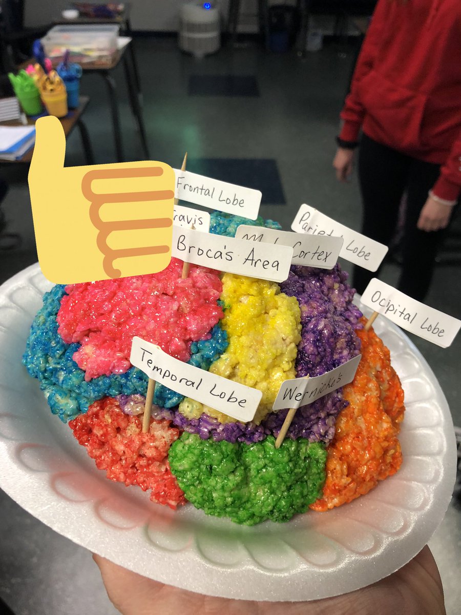 Psychology Brain Model Project