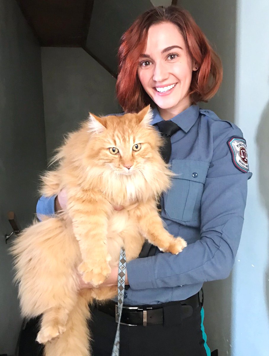 Jaime Fields (@JaimeFields15) | Twitter