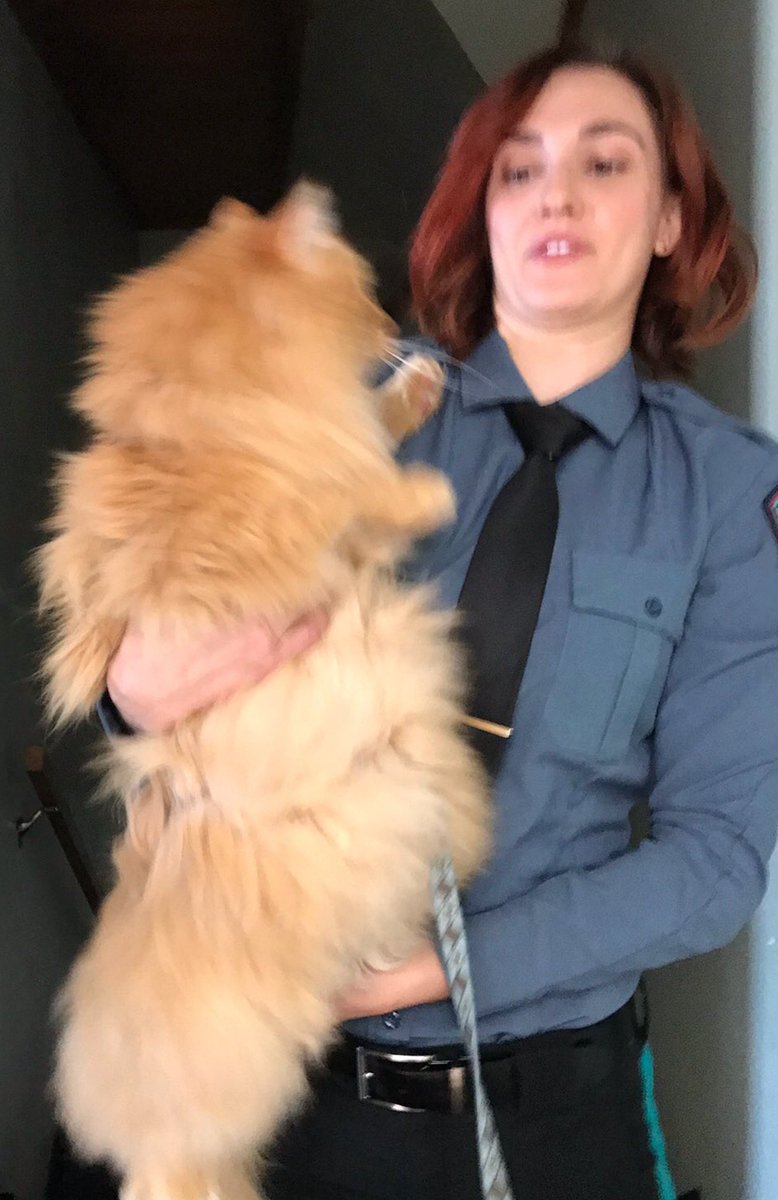 Jaime Fields (@JaimeFields15) | Twitter