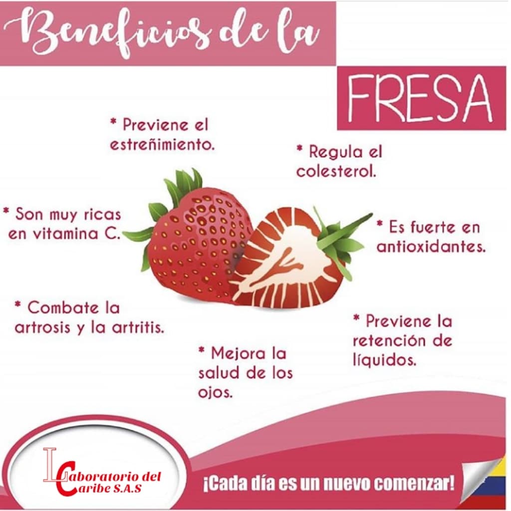 Fresas Propiedades Y Beneficios Que Debes Conocer Images