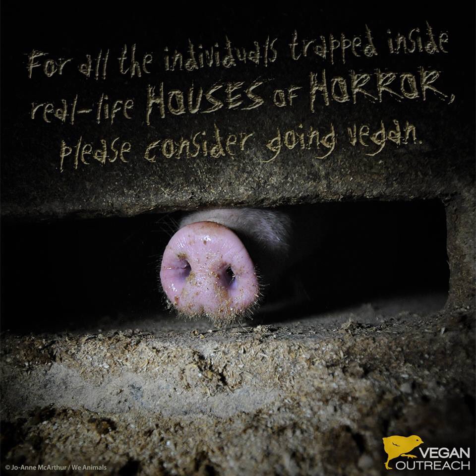 Really Scary Animals