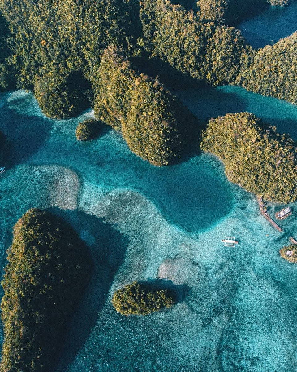 robz (@Robcarles) | Twitter