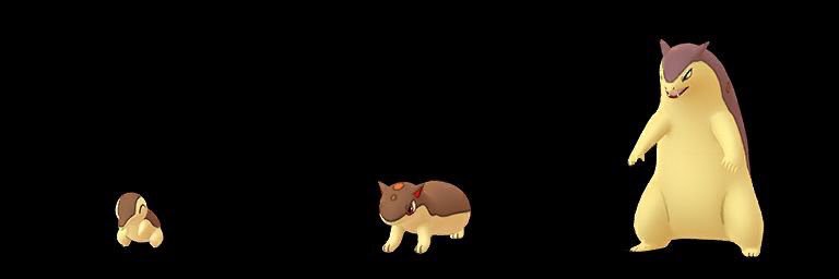 Shiny Cyndaquil Evolution