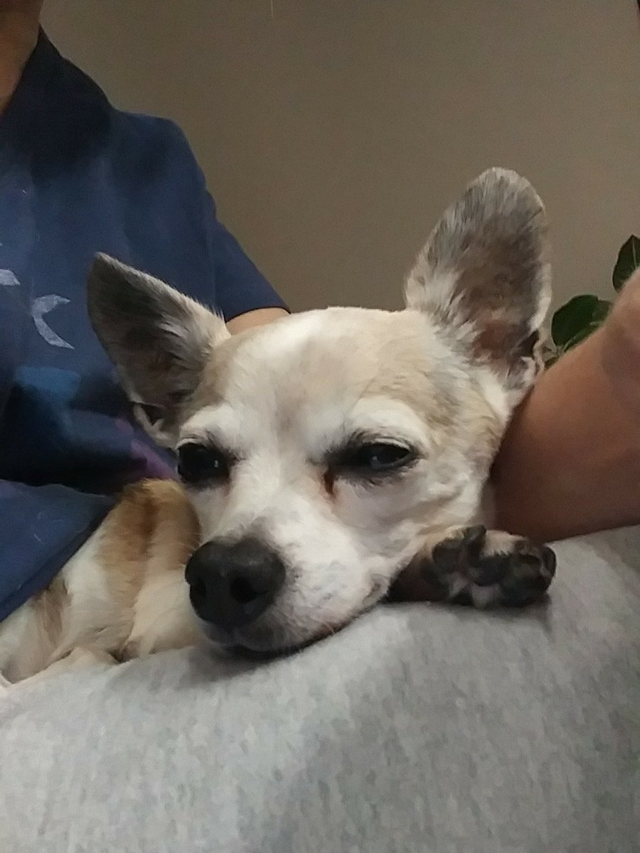 35 best Twitter u/therealjuliaann images on Pholder | Paradise.