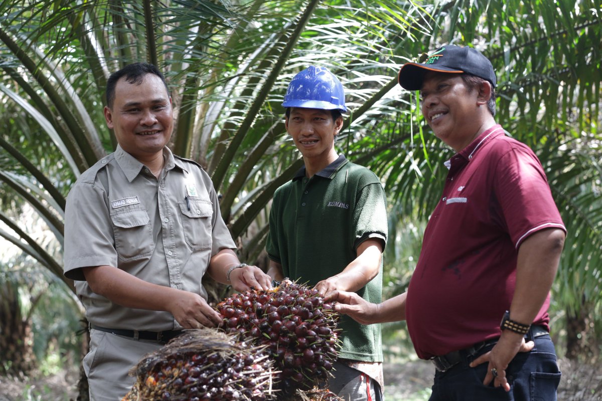 Asian Agri On Twitter Benih Menjadi Faktor Dan Kunci Penting Bagi