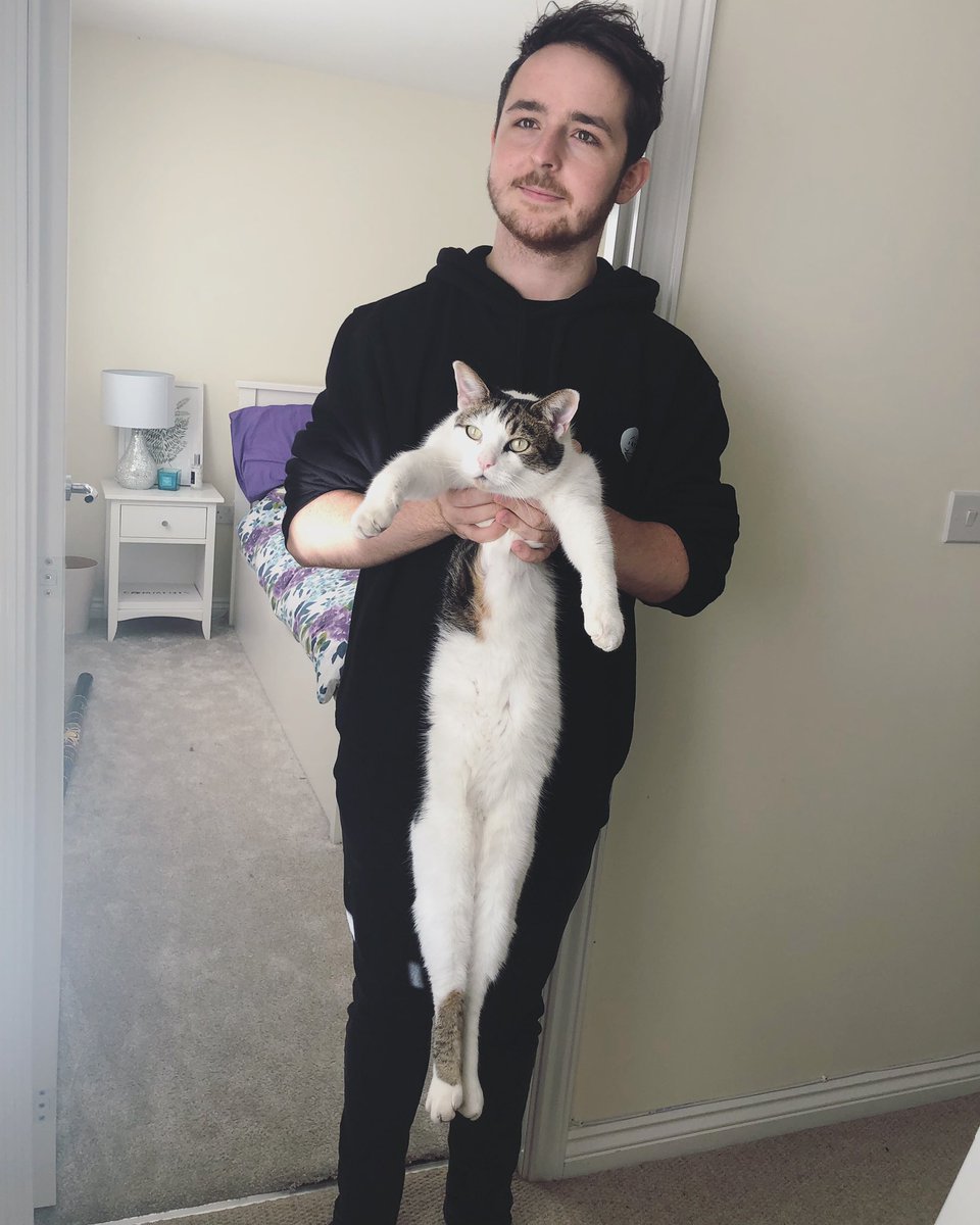 30 best Twitter @smallishbeans images on Pholder | Tried to do a nice ...