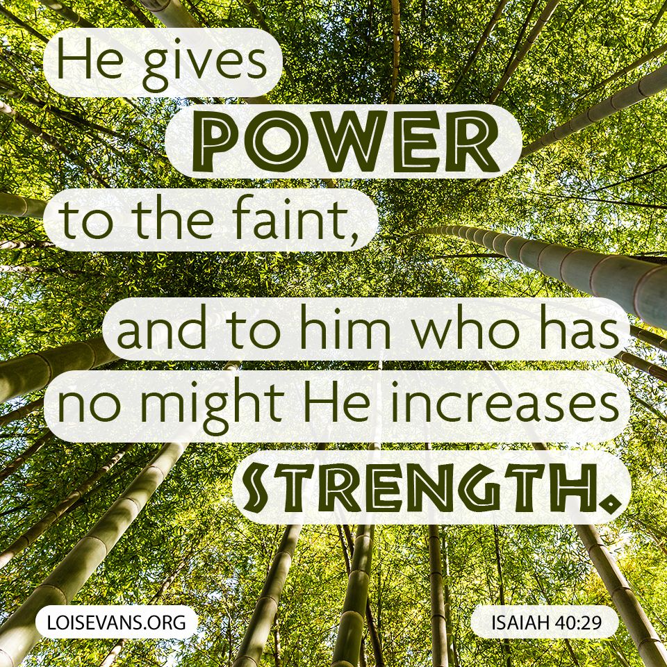 Gina Sayers's Instagram, Twitter & Facebook on IDCrawl