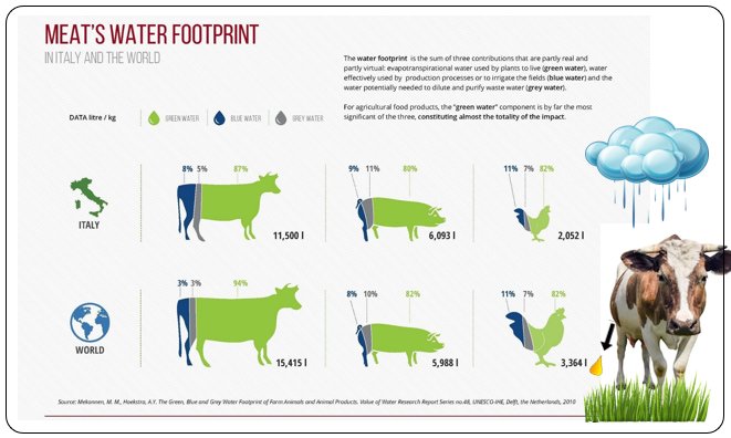 Thread by @fleroy1974: "As for cows & global warming ( the link between ...