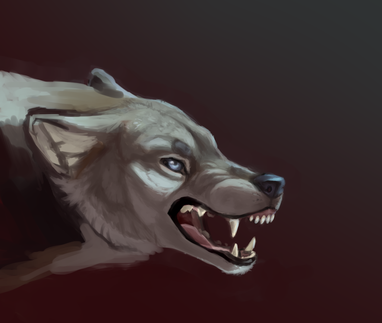 Wolf Fangs Drawing