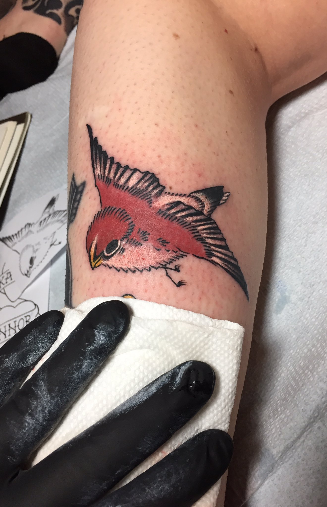 Japanese Bird Cage Tattoos