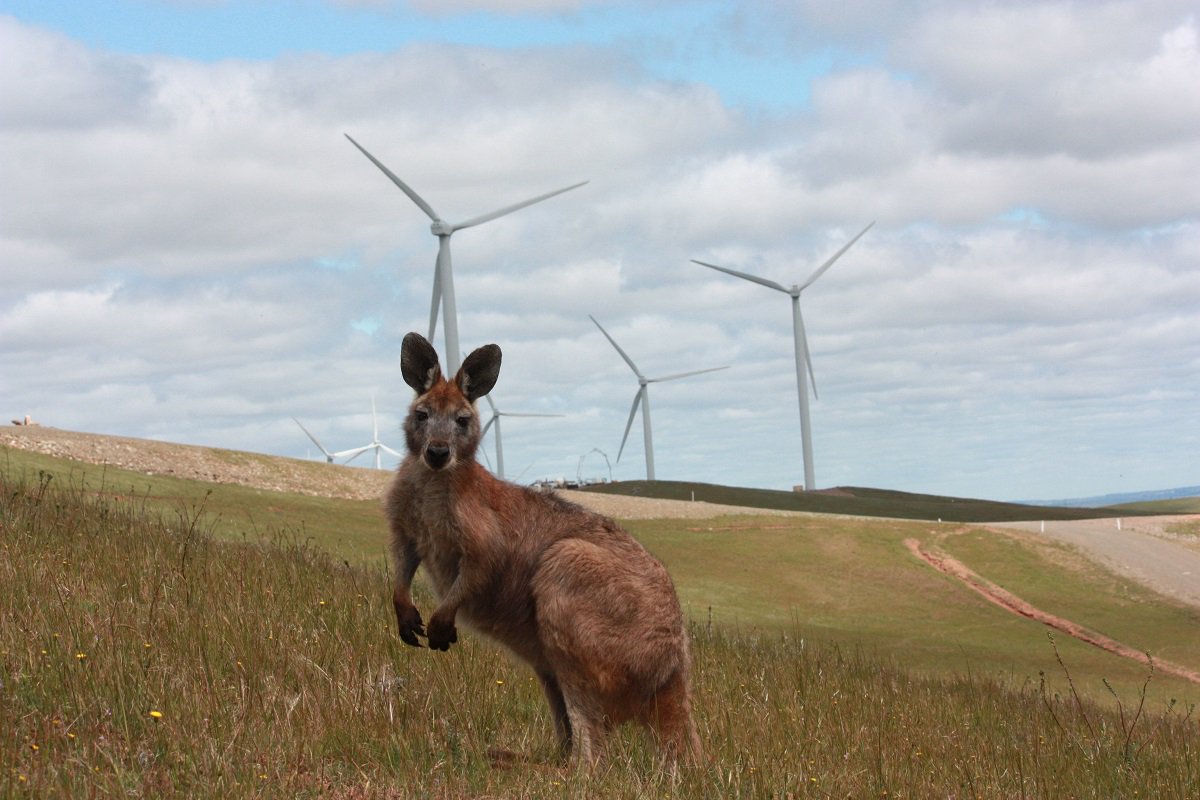 Equipsuper (@Equipsuper) | Twitter