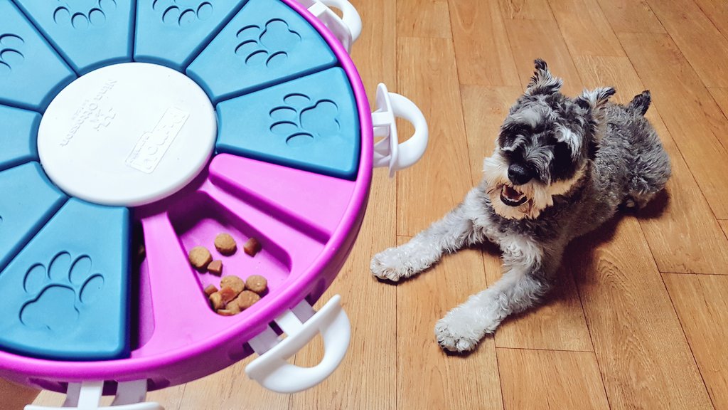 칸쵸 (@kancho_mongmong) | Twitter