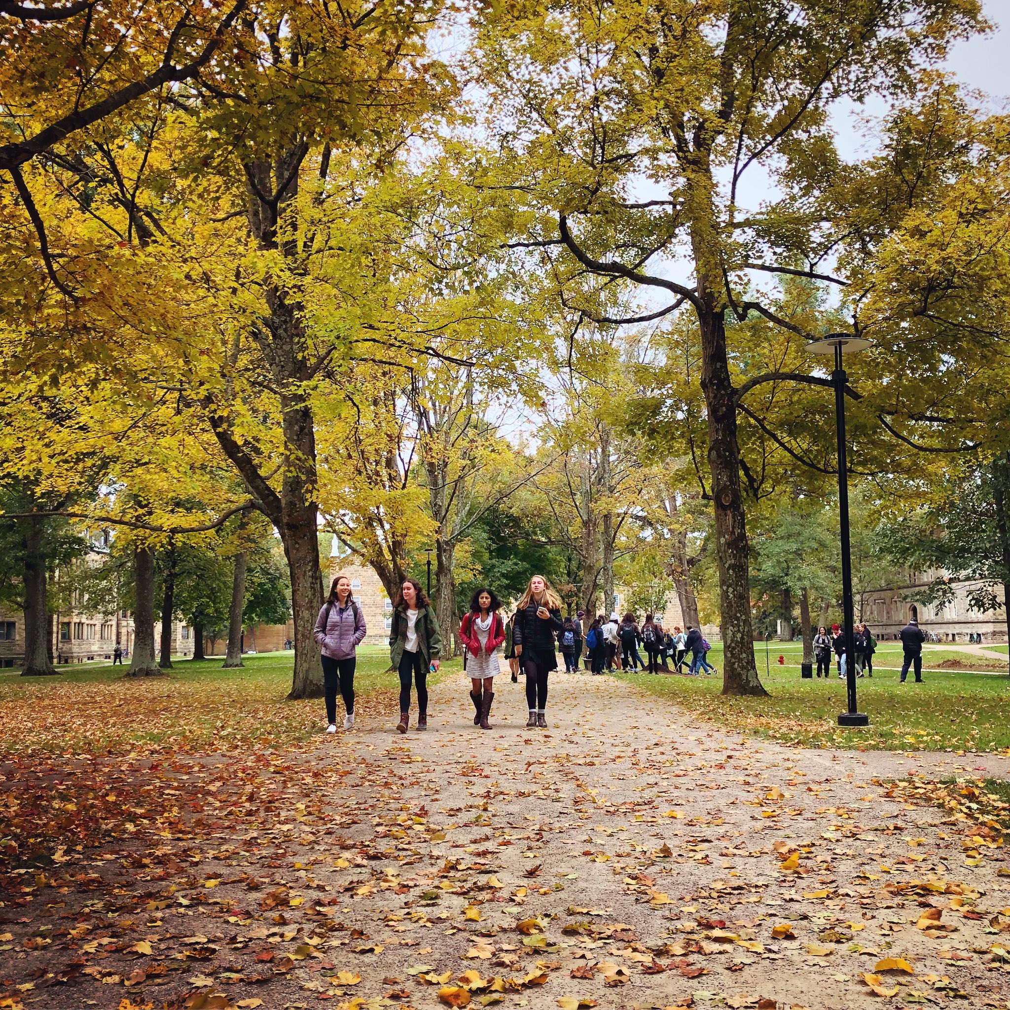 Kenyon College Middle Path