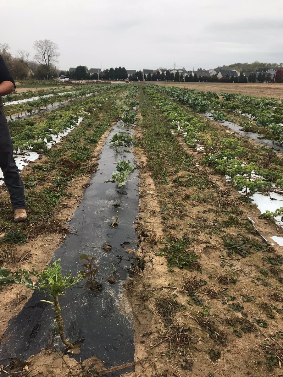 Anna FFA (@AnnaFFAChapter) | Twitter