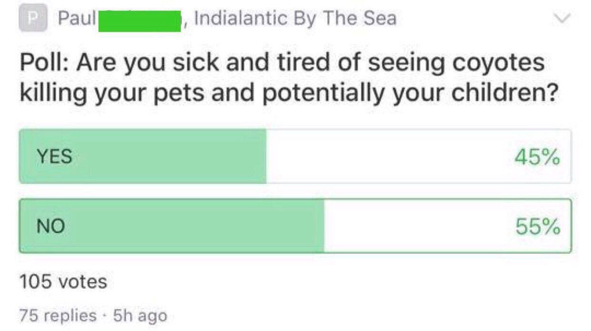 first you must answer his riddles - Funny Tweeter