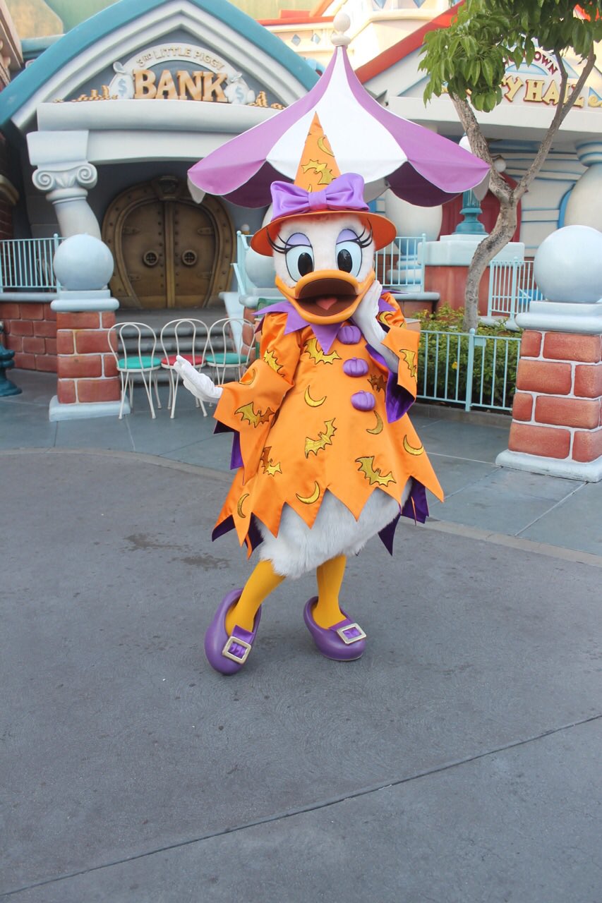 Disney Daisy Duck Costume