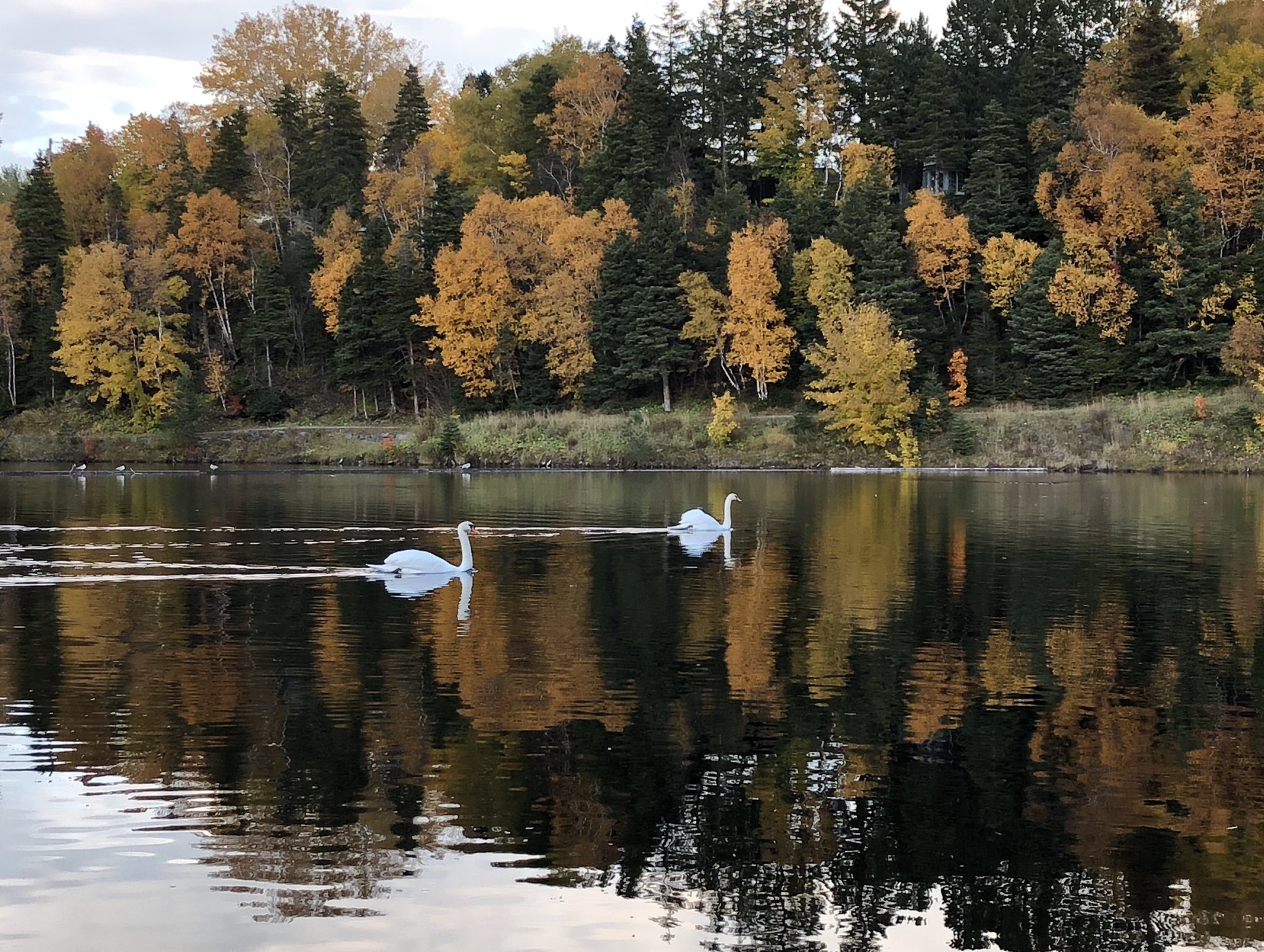Don Bradshaw on Twitter: "Pretty happy with how this #autumn photo turned out. Right time. Right ...